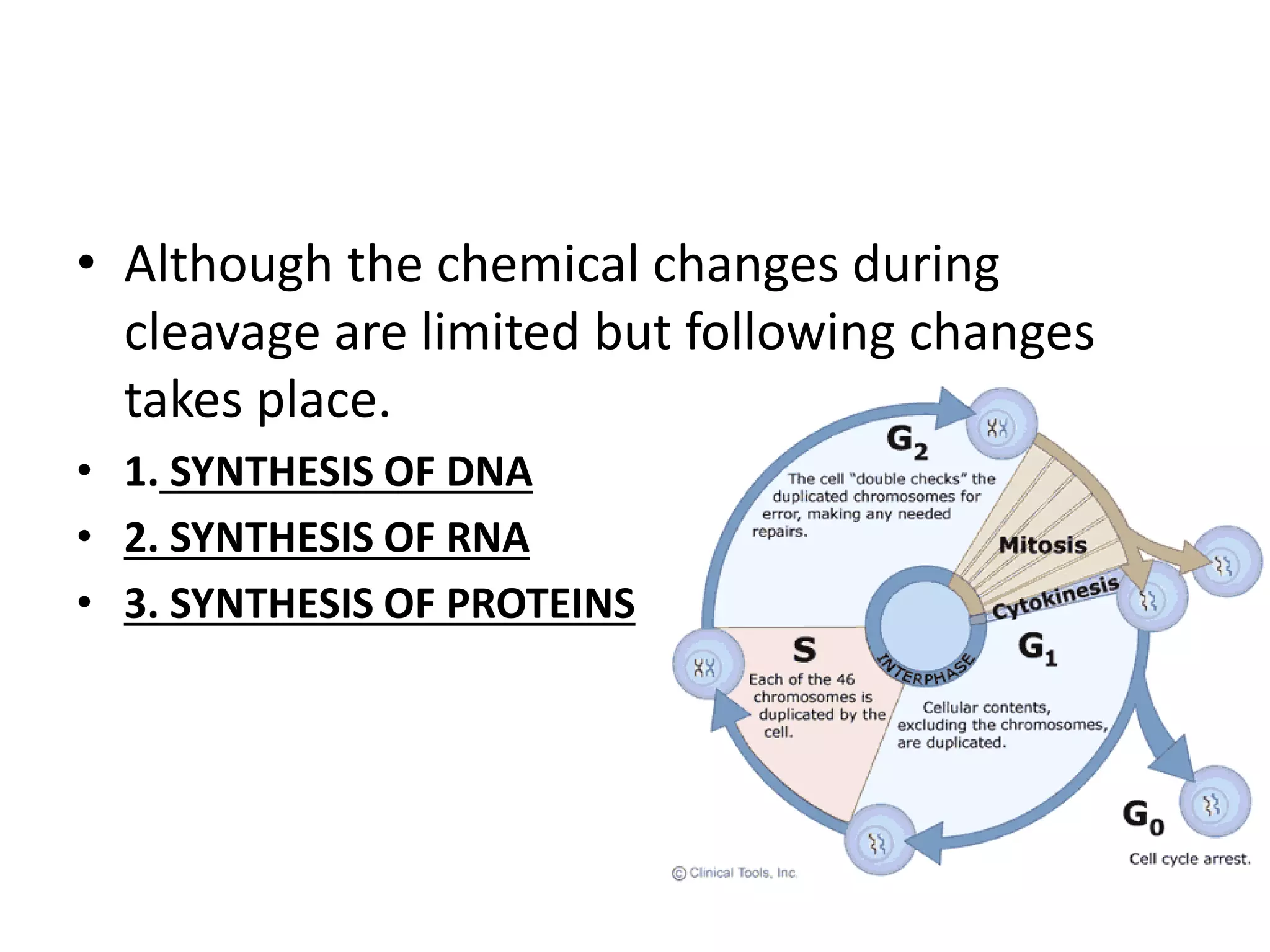 Chap 5 Cleavage.pptx