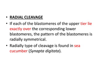 Chap 5 Cleavage.pptx