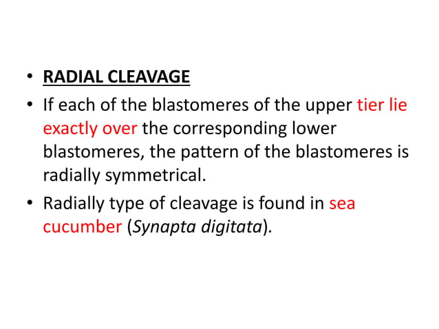 Chap 5 Cleavage.pptx | Biological Sciences | Science