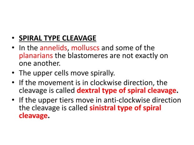 Chap 5 Cleavage.pptx | Biological Sciences | Science