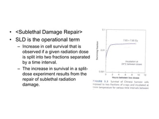 Chap 5 fractionated radiation and the dose rate effect | PPTX