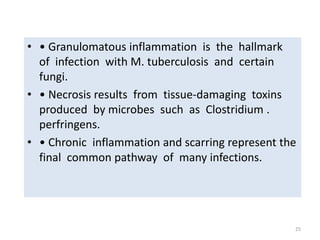 chap 5 infectious diseases ( pathology) .pdf