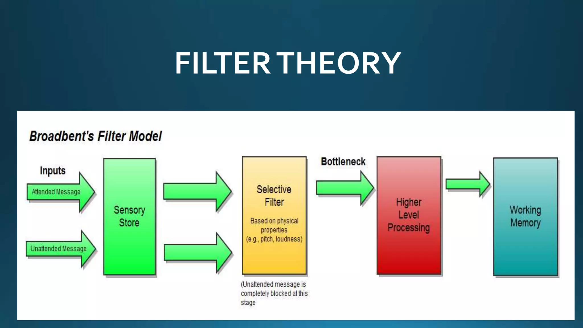 chap 5 Sensory, attentional and perceptual processes.ppt