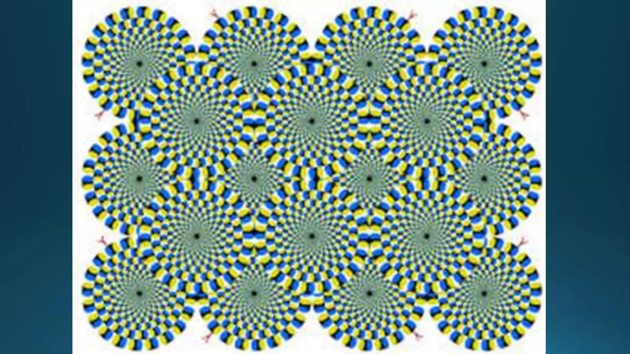 chap 5 Sensory, attentional and perceptual processes.ppt