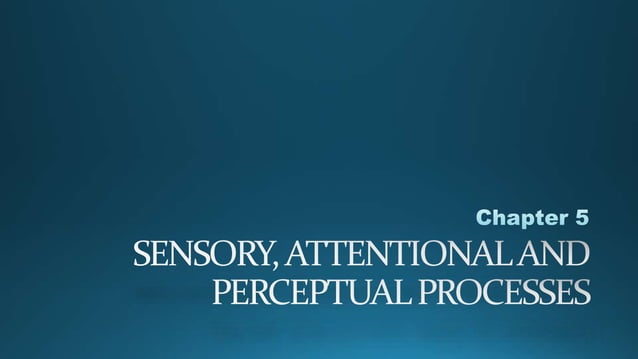 chap 5 Sensory, attentional and perceptual processes.ppt | Artificial ...