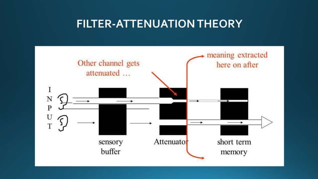 chap 5 Sensory, attentional and perceptual processes.ppt | Artificial ...