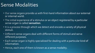 chap 5 Sensory, attentional and perceptual processes.ppt