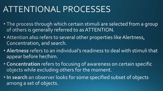 chap 5 Sensory, attentional and perceptual processes.ppt