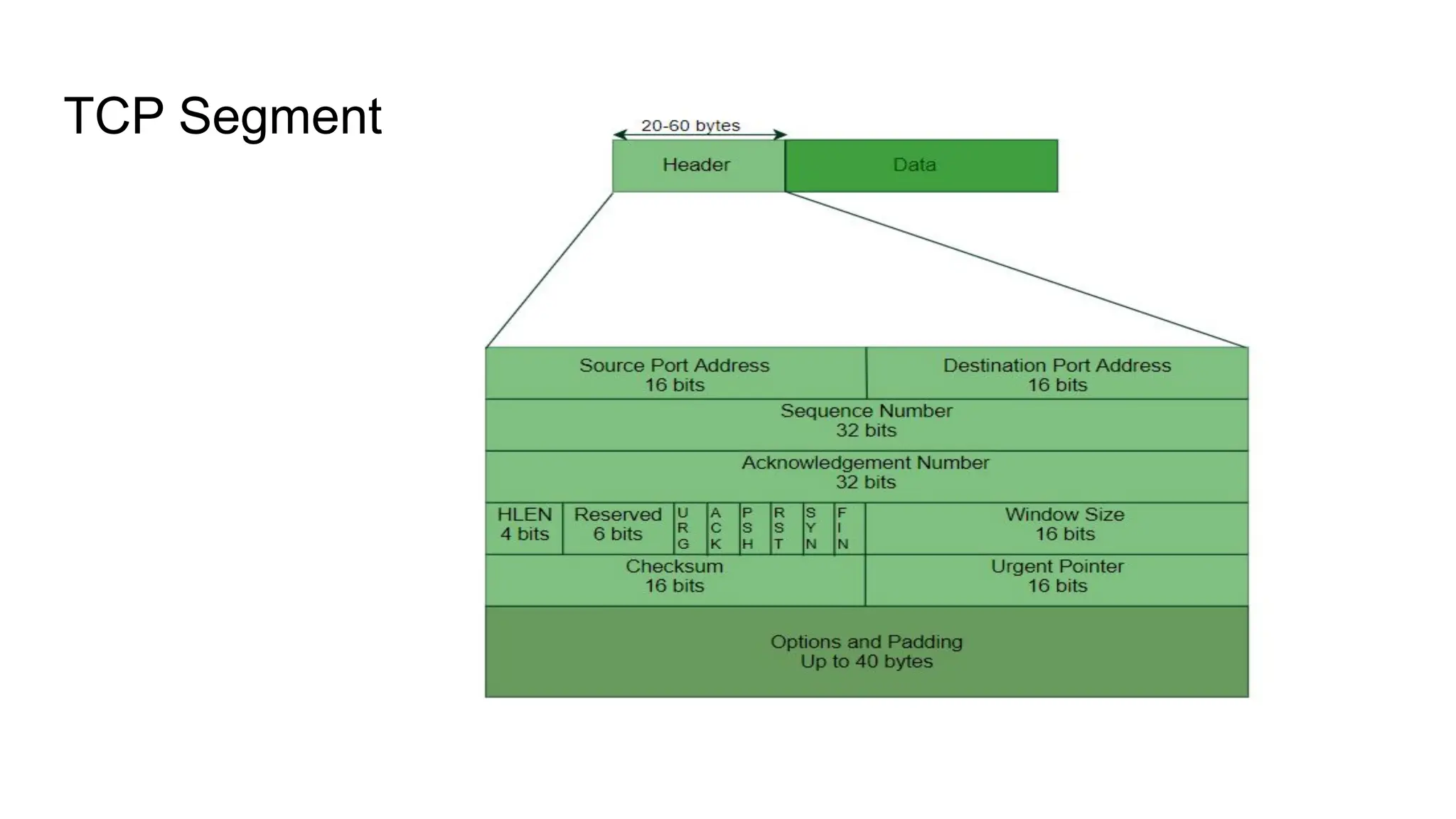 Chap 5TransportLayer.pdfdistancevectorroutingandalgorithmcomputernetworks | PDF