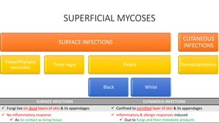 SUPERFICIAL MYCOSES | PPTX