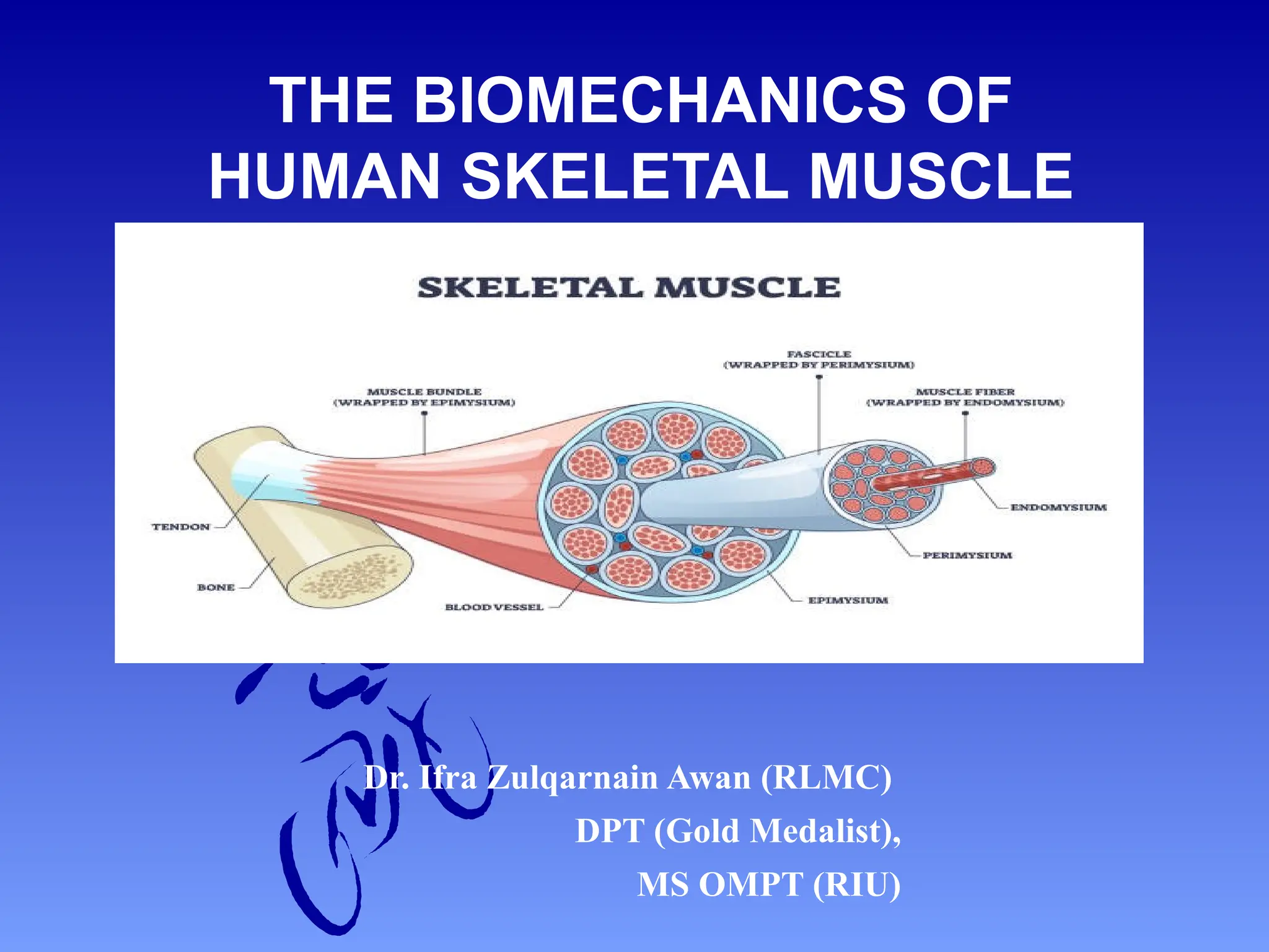 Chap 6 "Human Biomechanics: Skeletal Muscles" | PPTX