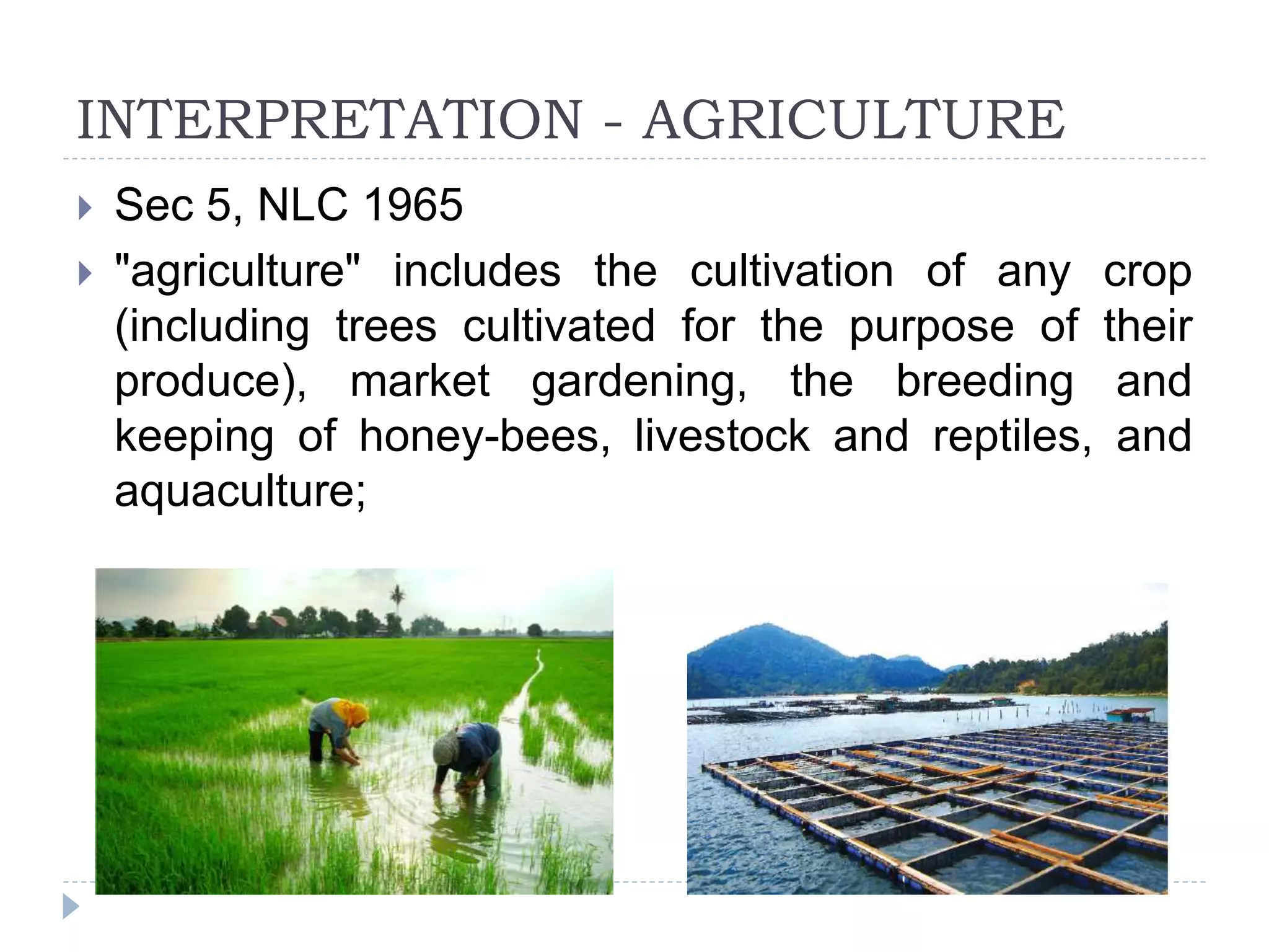 Chap 6 _Conditions and Restriction.pptx