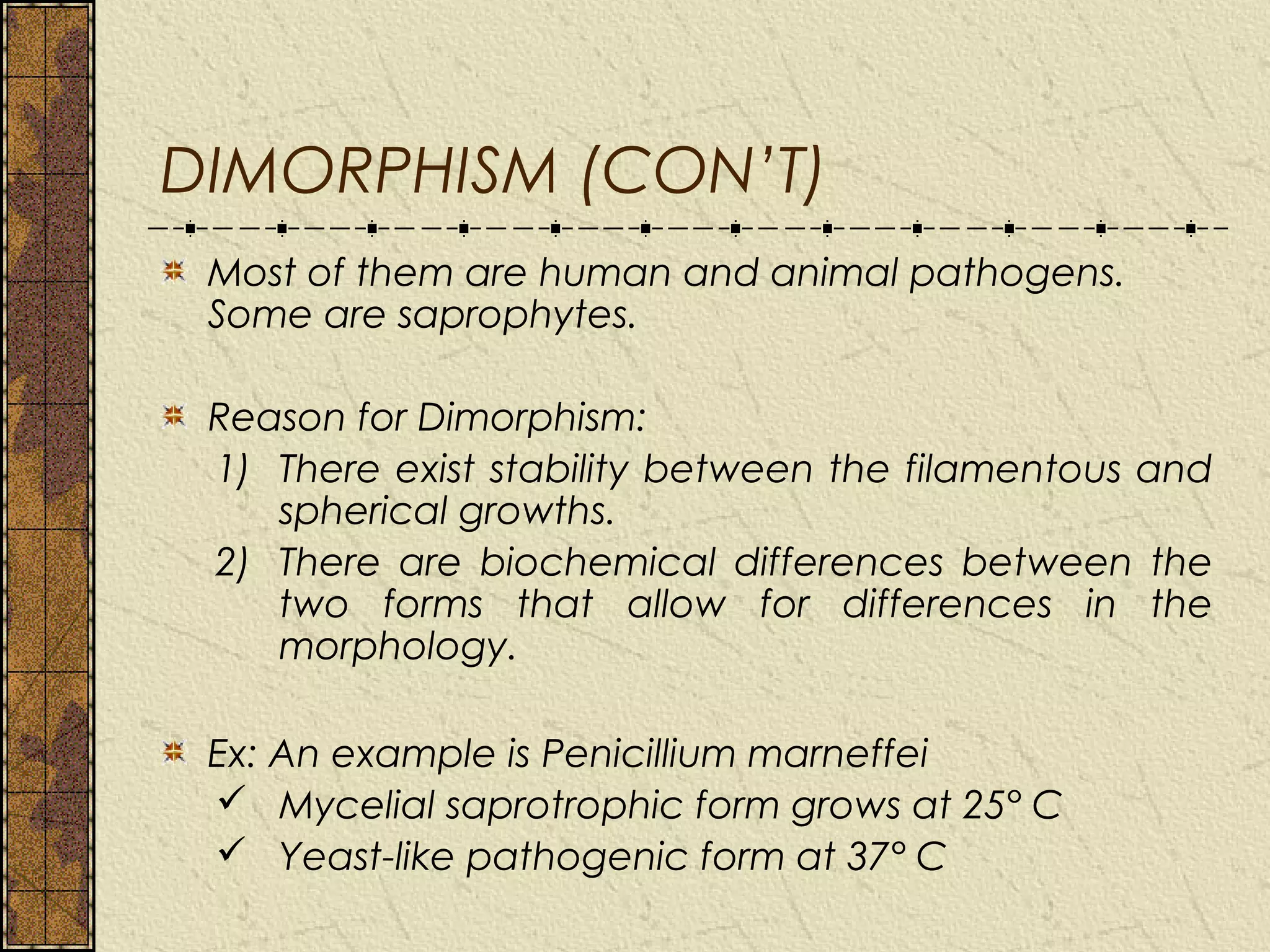 Chap 6 dimorphism | PPT