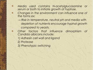 Chap 6 dimorphism | PPT