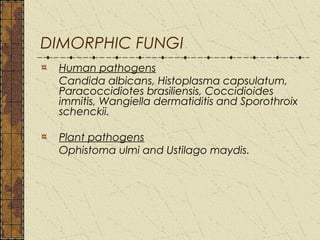 Chap 6 dimorphism | PPT