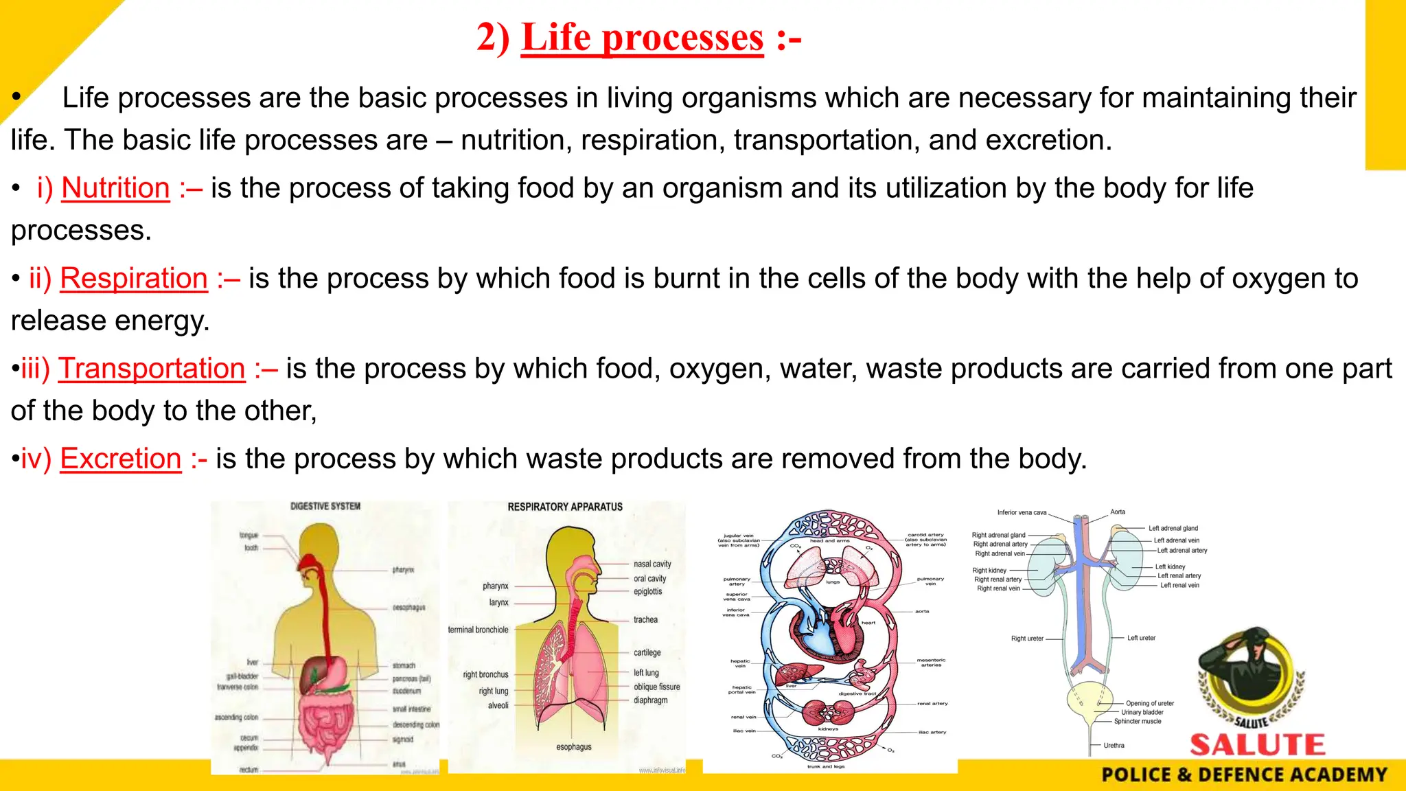 Chap 6 Life Process.pptx Class 10 about life process in hindi medium | PPTX