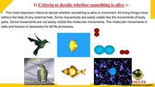 Chap 6 Life Process.pptx Class 10 about life process in hindi medium | PPTX