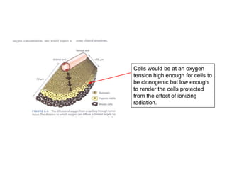 Chap6 oxygen effect and reoxygenation | PPTX