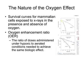 Chap6 oxygen effect and reoxygenation | PPTX