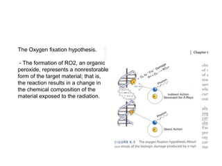 Chap6 oxygen effect and reoxygenation | PPTX