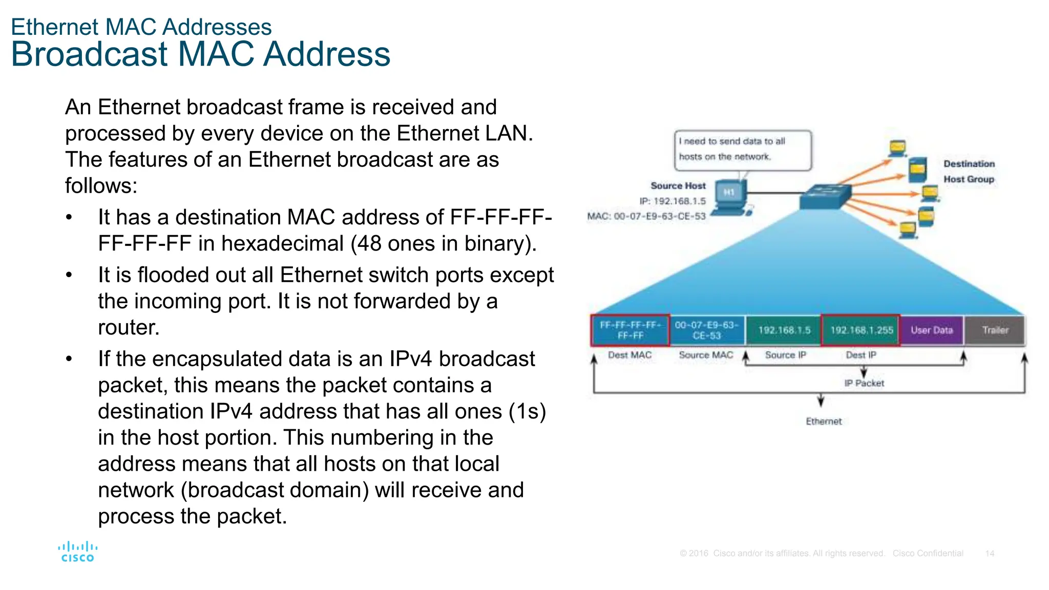 Network Layer and its protocols mod .pptx