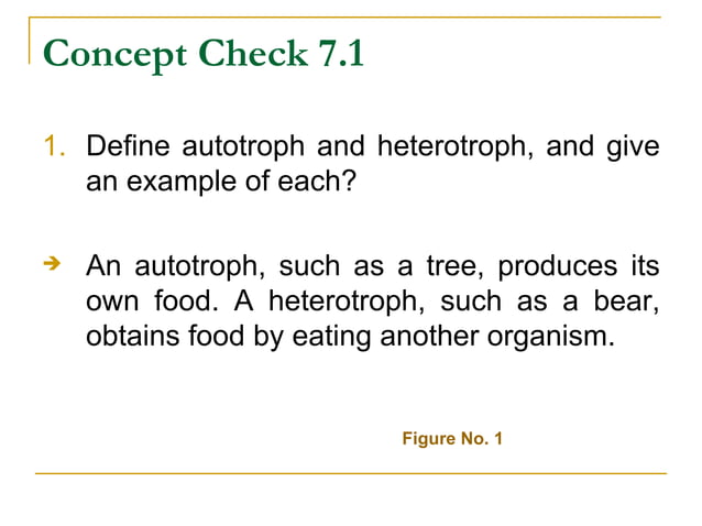 Chap 7 concept checks | PPT