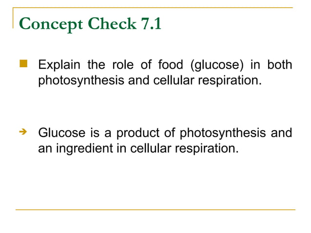 Chap 7 concept checks | PPT