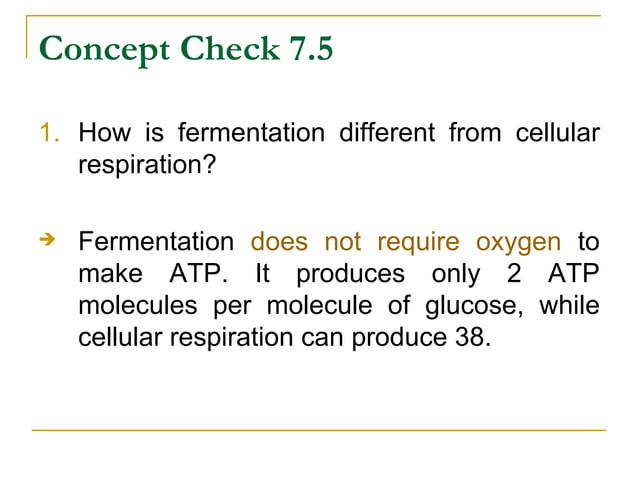 Chap 7 concept checks | PPT