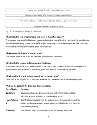 Chap 7 control and coordination qa | DOC