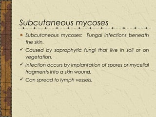 Chap 7 fungi and other organism (human) | PPT