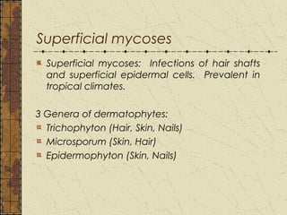 Chap 7 fungi and other organism (human) | PPT