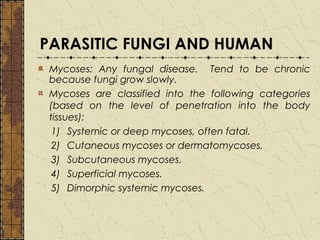 Chap 7 fungi and other organism (human) | PPT