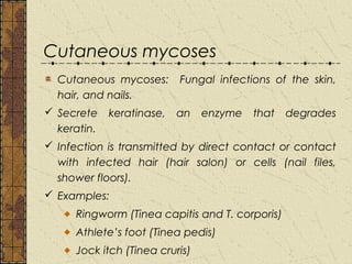 Chap 7 fungi and other organism (human) | PPT