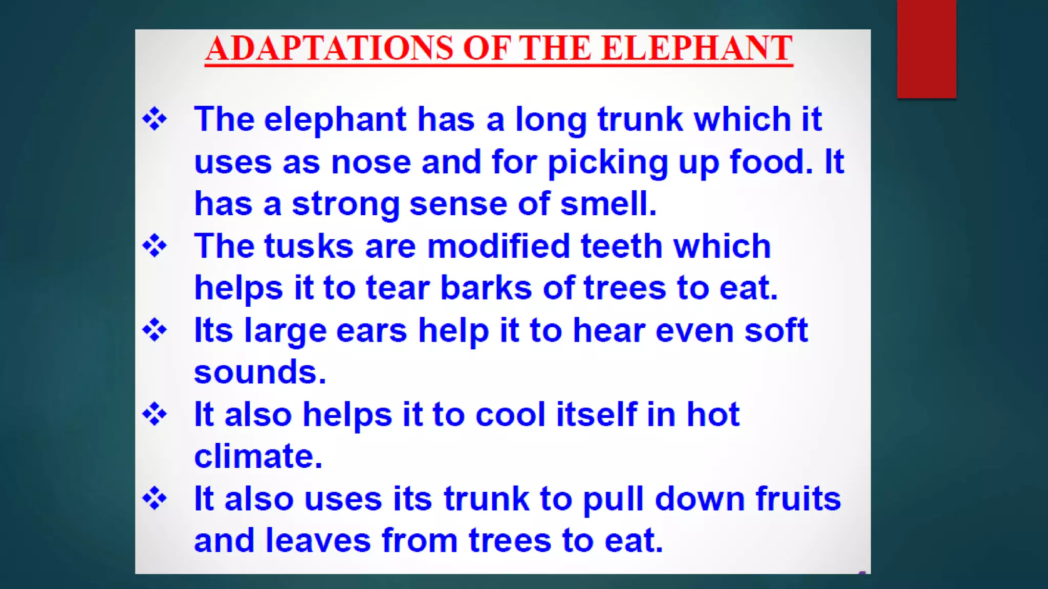 Chap 7 weather, climate and adaptations of animals to climate | PPTX