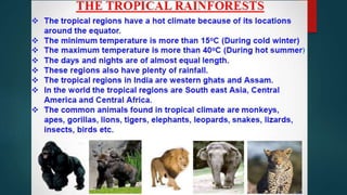 Chap 7 weather, climate and adaptations of animals to climate | PPTX