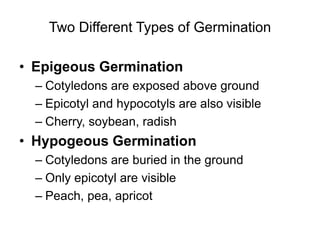 chap 8-seed propagation.ppt