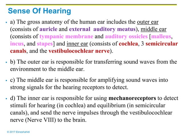 Chap 8 Special Senses (eye, ear).pdftttt | PPT