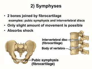 Chap9_Joints.pdf