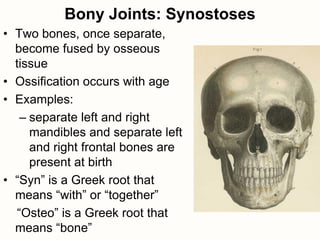 Chap9_Joints.pdf