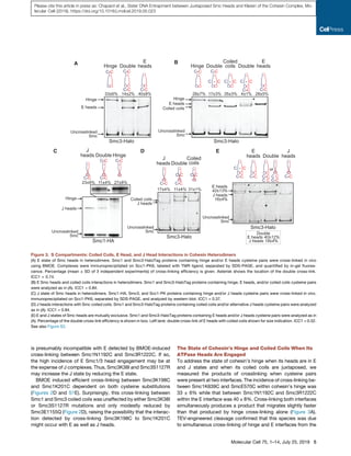 Chapard et al_2019 | PDF