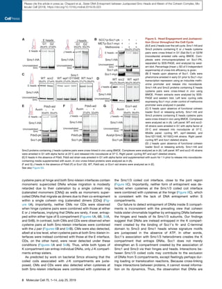 Chapard et al_2019 | PDF