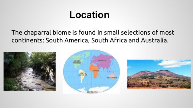 Chaparral Biomes Around The World