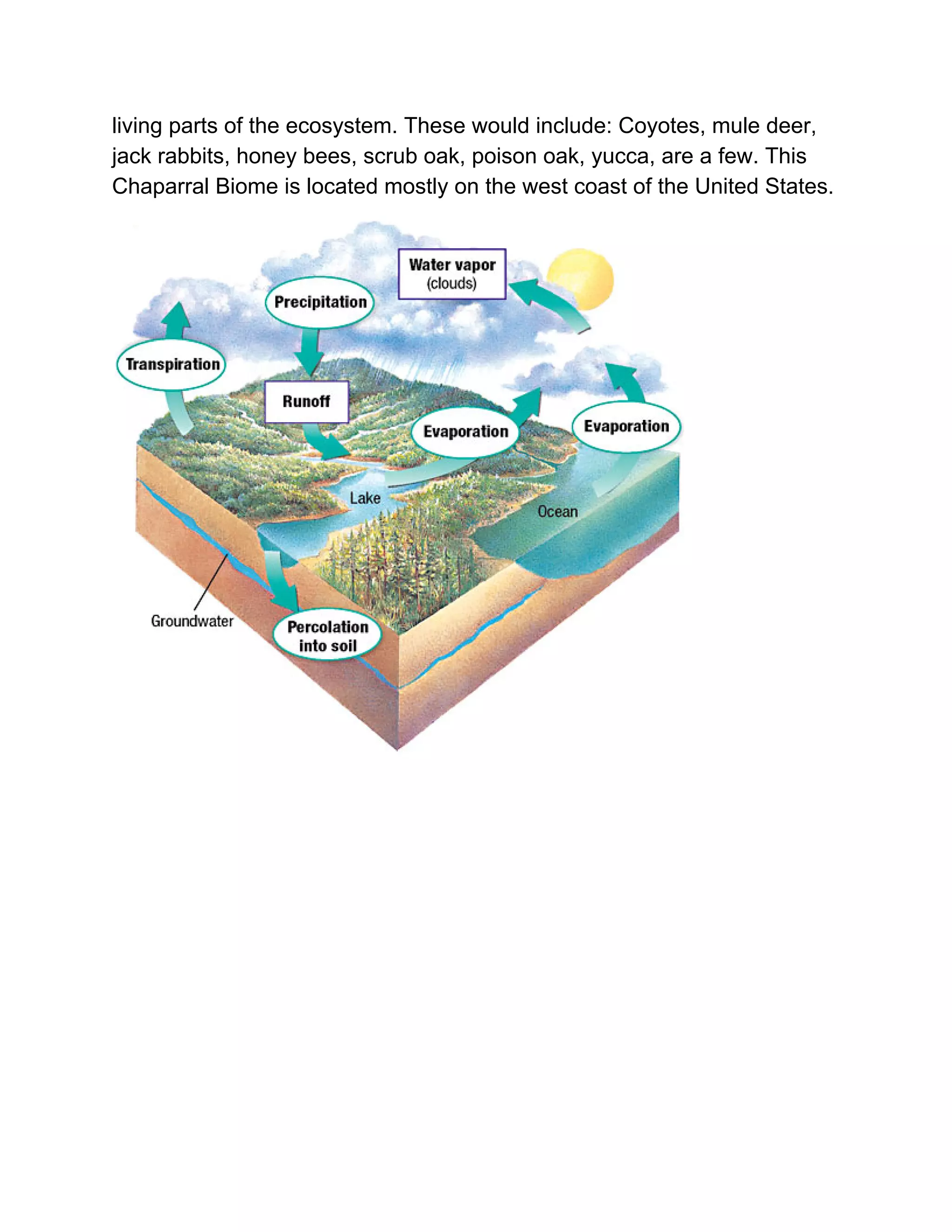 Chaparral Biome | PDF