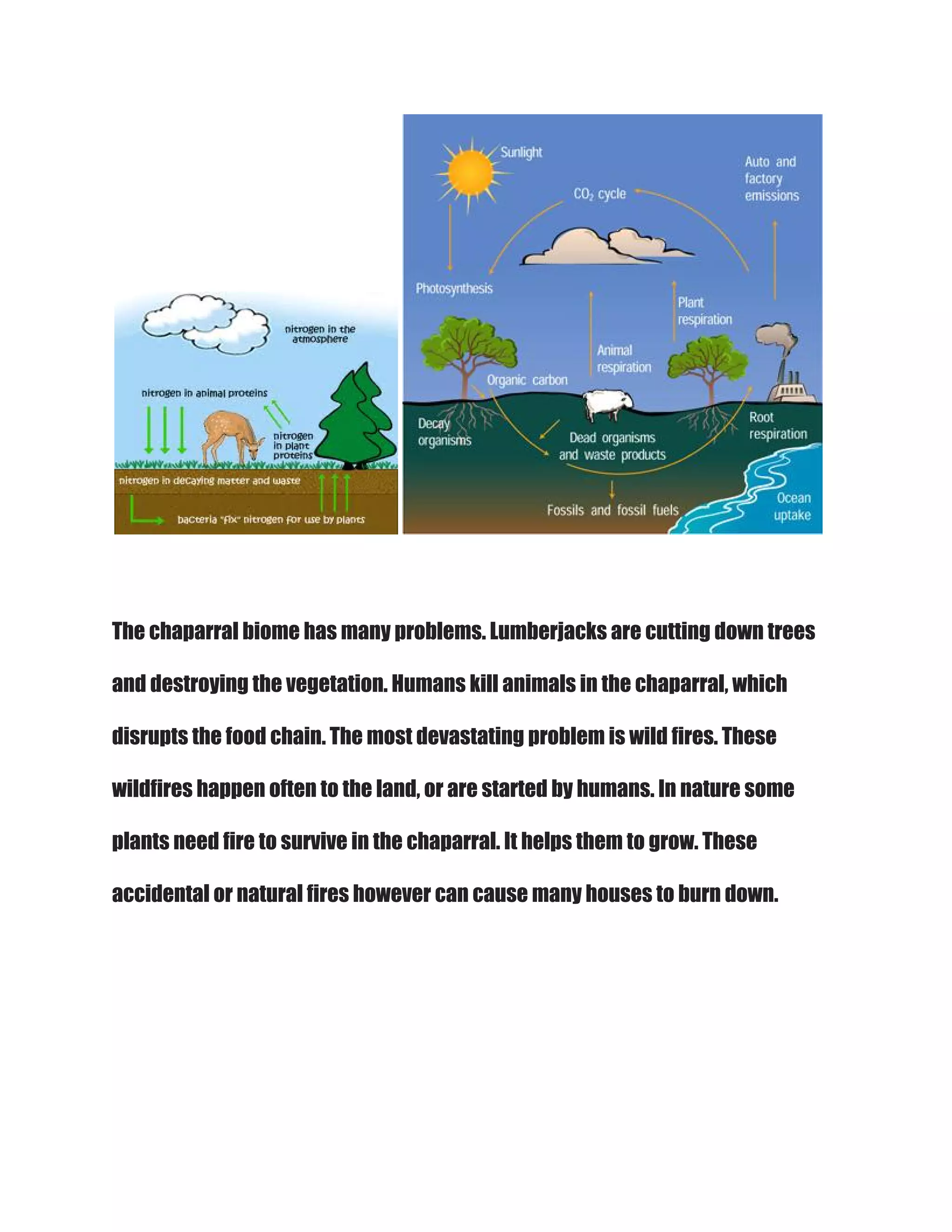 Chaparral Biome | PDF