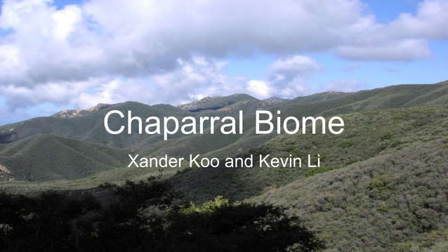 Chaparral biome | PPT