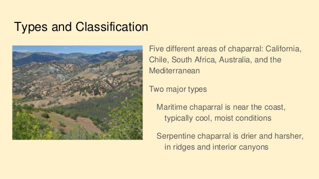 Chaparral biome