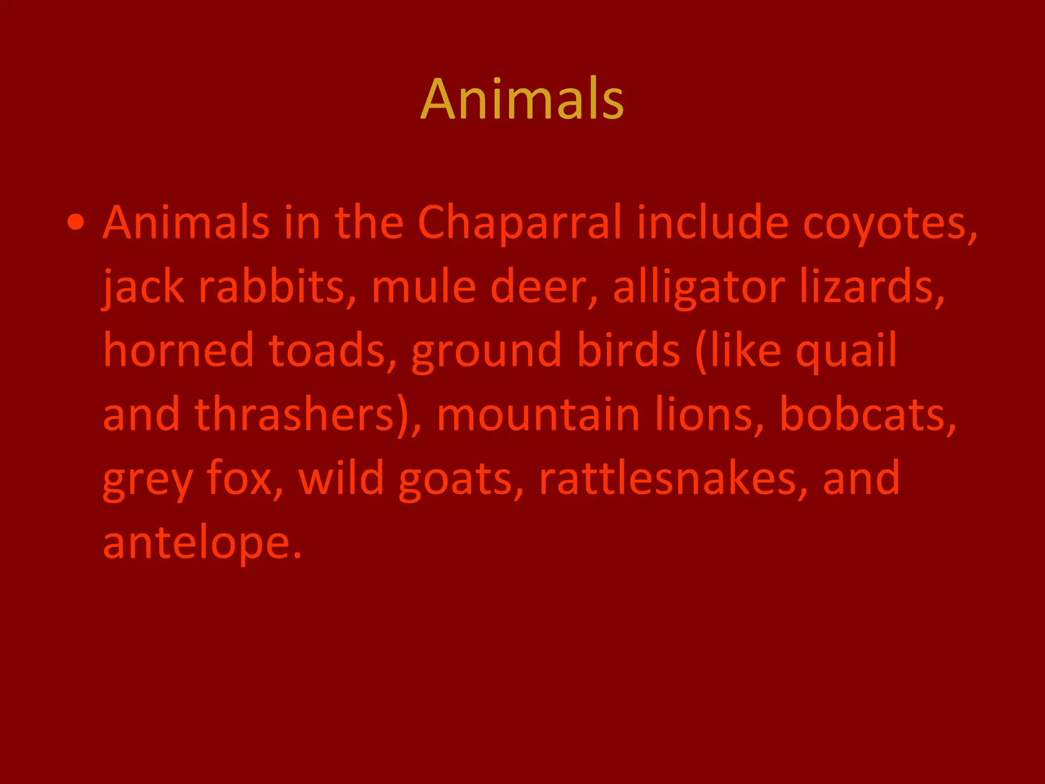 Chaparral Power Point | PPT | Geography | Science