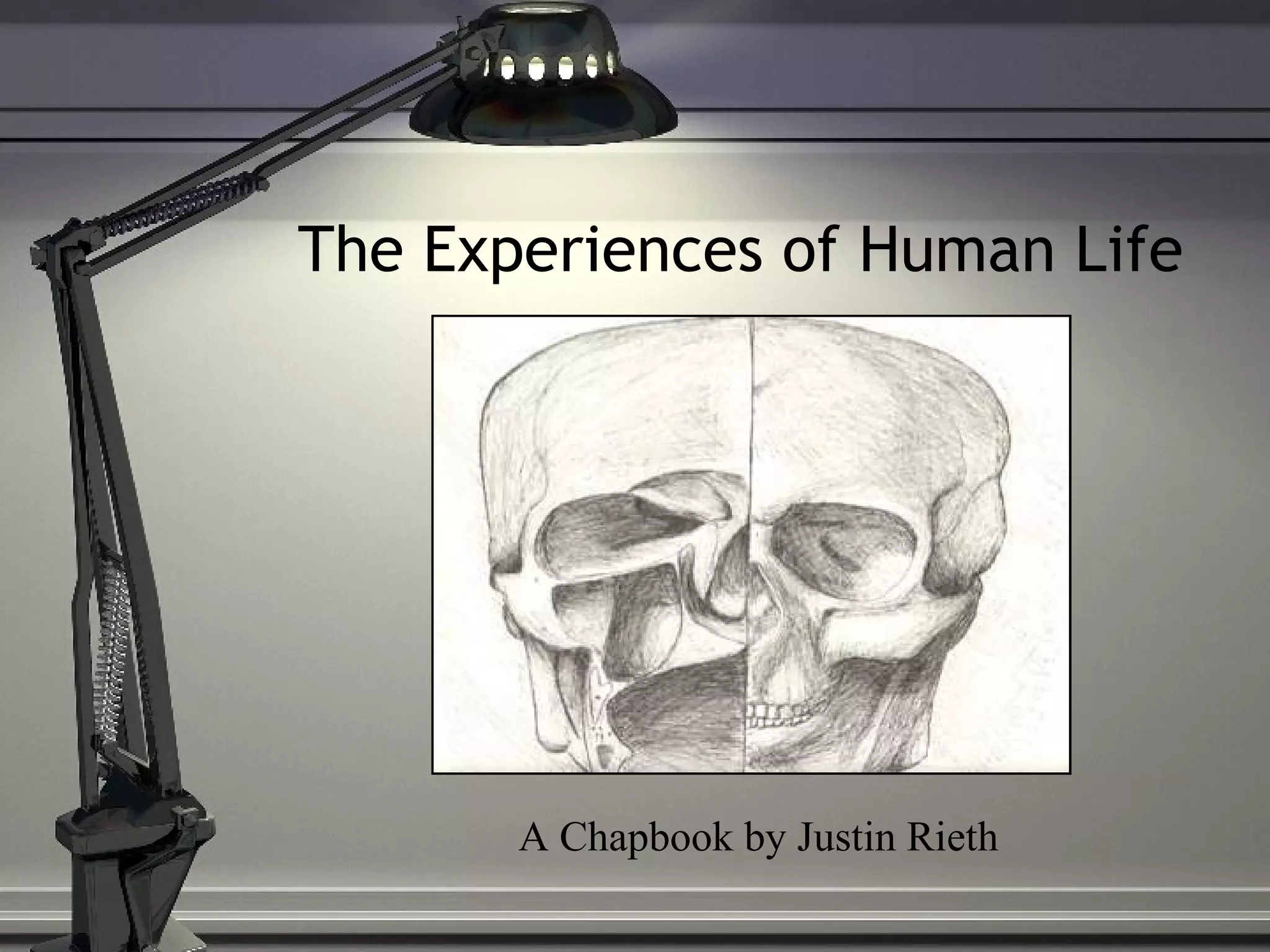 The Experiences of Human Life | PPT
