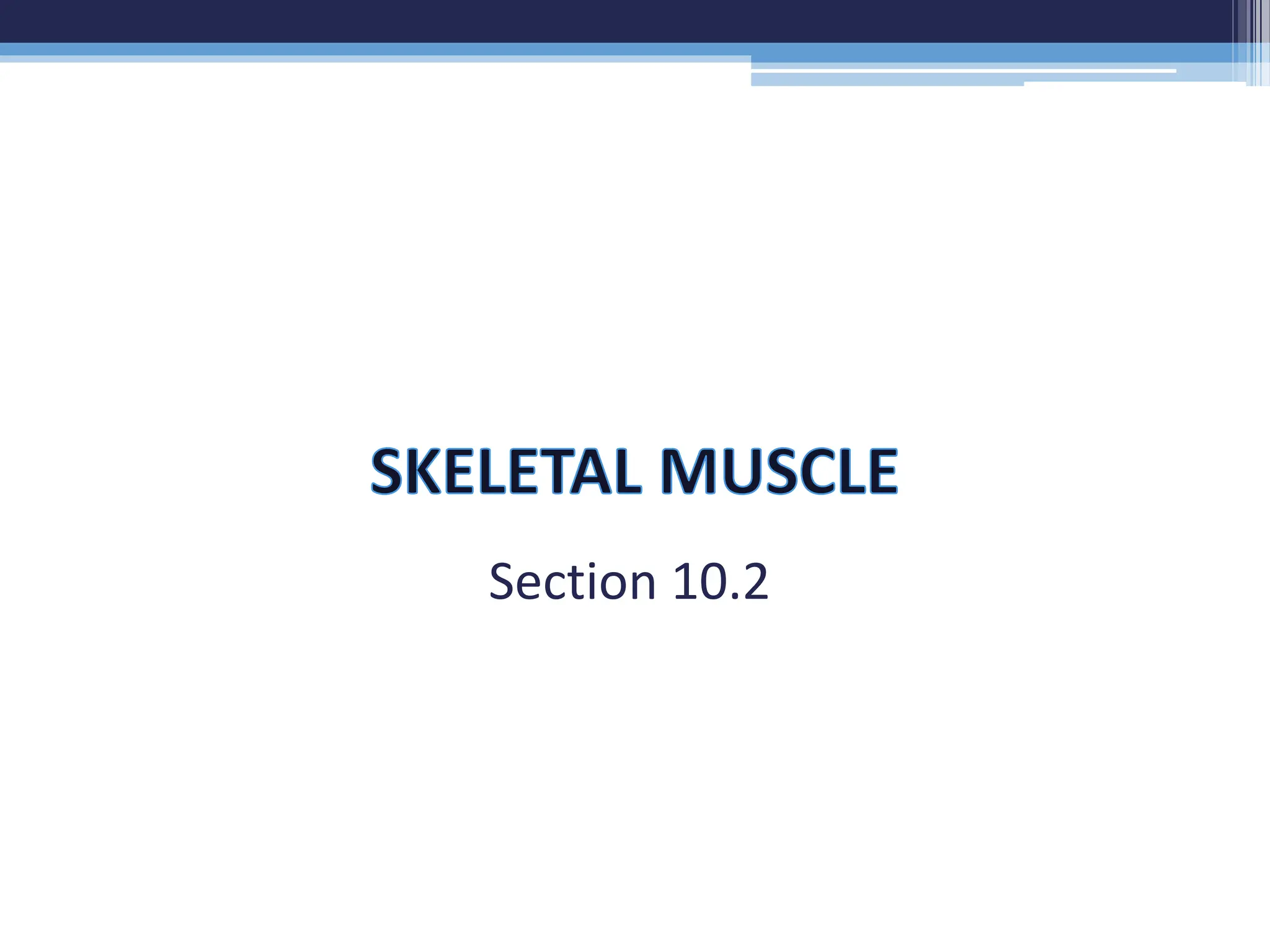 Anatomy & Physiology 2e Chapter 10 Muscle Tissue | PPTX