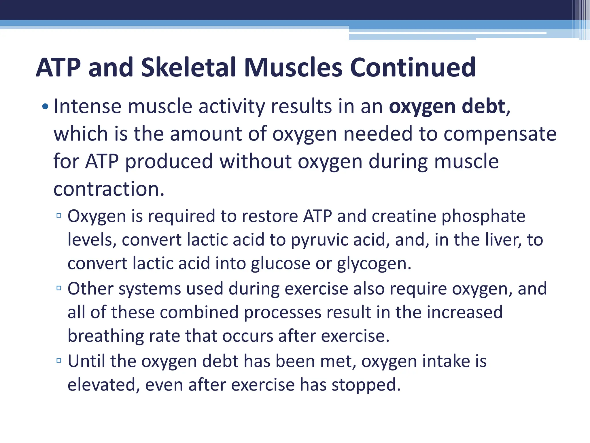 Anatomy & Physiology 2e Chapter 10 Muscle Tissue | PPTX